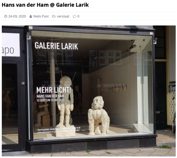 Biography - Hans van der Ham